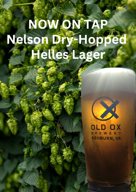 Old Ox Brewery | Washington DC Brewery in Ashburn, VA